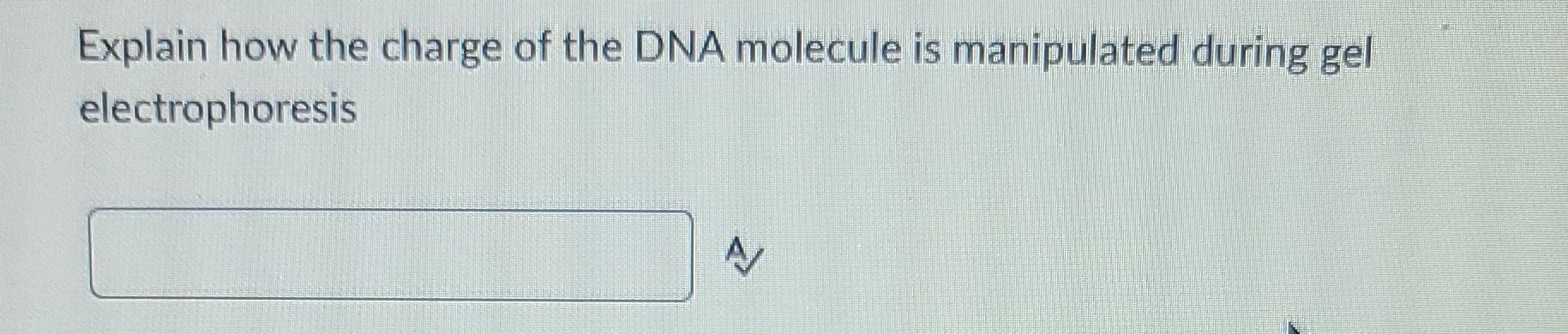 Solved Explain how the charge of the DNA molecule is | Chegg.com