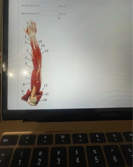 Solved Identify structure Identify structure | Chegg.com