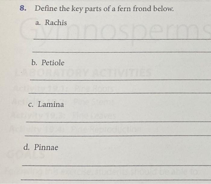 Solved 8. Define the key parts of a fern frond below. a. | Chegg.com