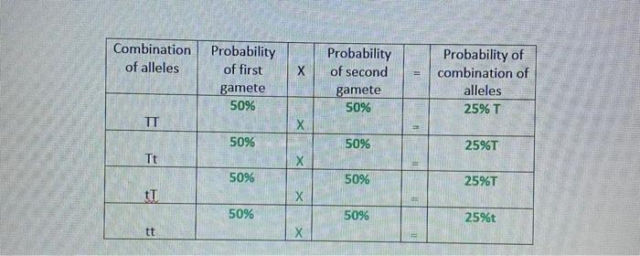 Solved I just want to make sure the third table is correct | Chegg.com