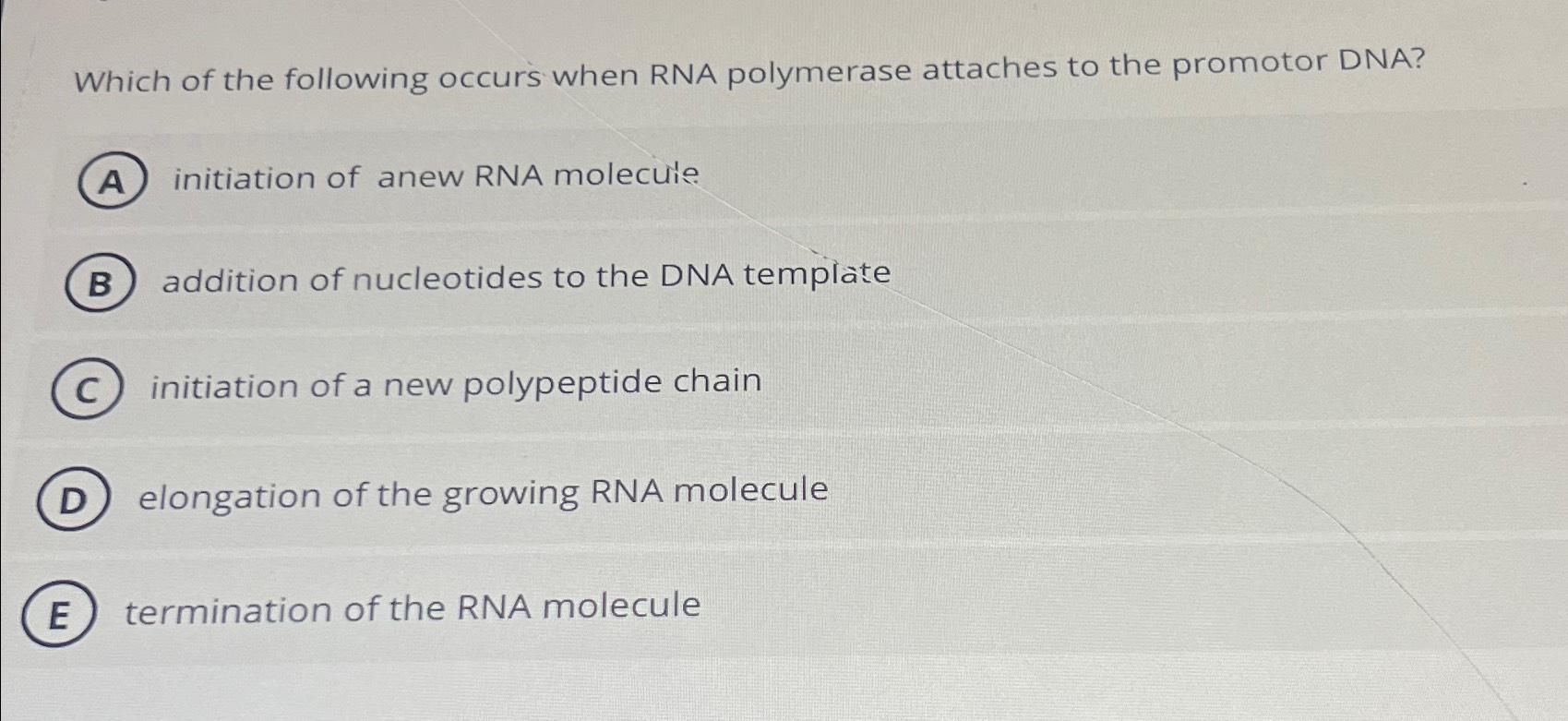 Which of the following occurs when RNA polymerase | Chegg.com