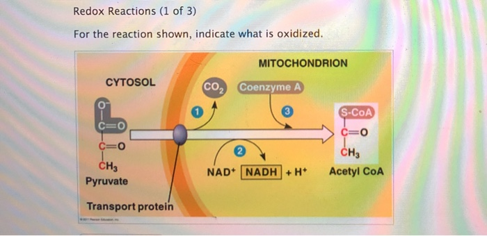 Solved Redox Reactions (1 of 3) For the reaction shown, | Chegg.com