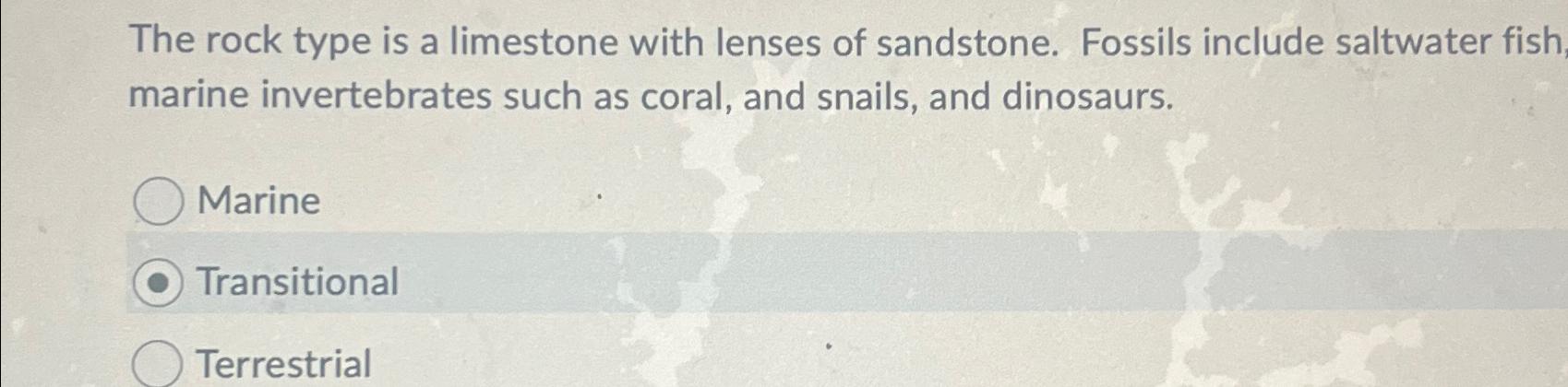 Solved The rock type is a limestone with lenses of | Chegg.com