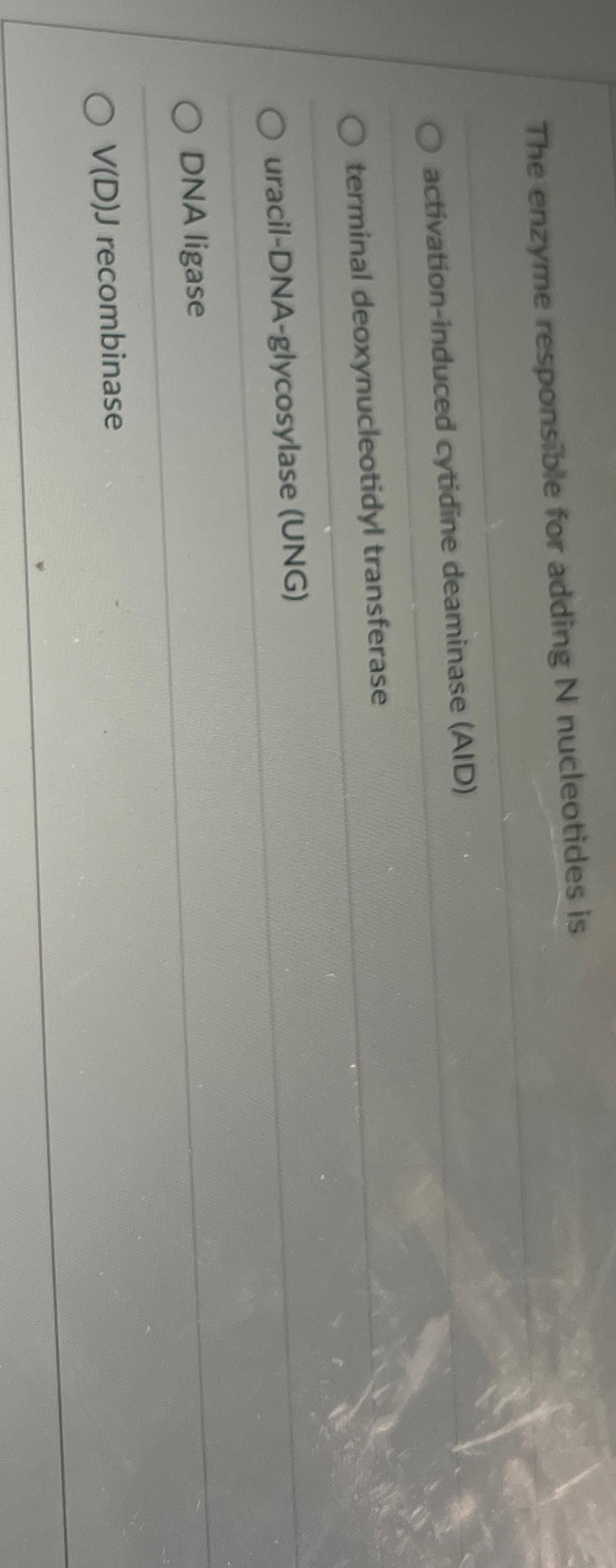 Solved The enzyme responsible for adding N ﻿nucleotides | Chegg.com