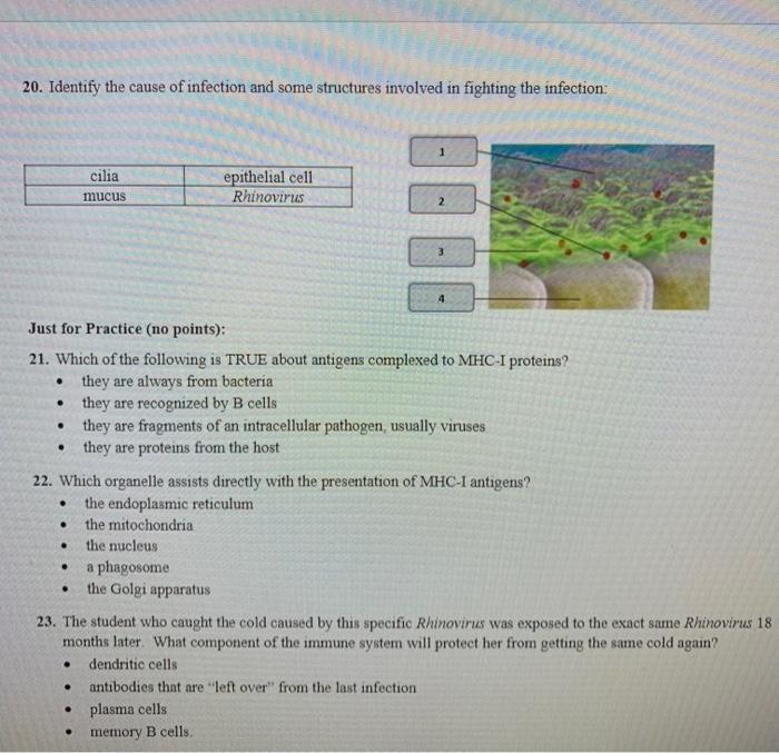 Solved 20. Identify the cause of infection and some | Chegg.com
