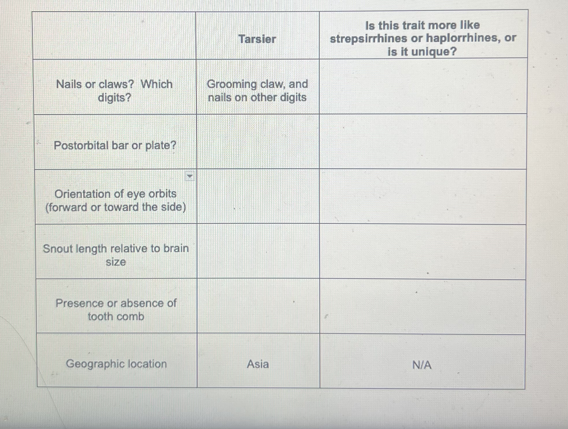 Solved Station 4: | Chegg.com