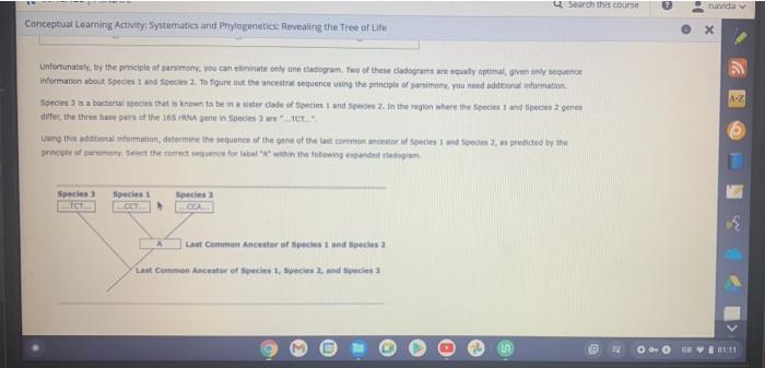 Solved Conceptual Learning Activity: Systematics and | Chegg.com