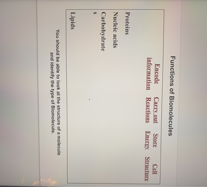 Solved Functions of Biomolecules Encode Carry out | Chegg.com