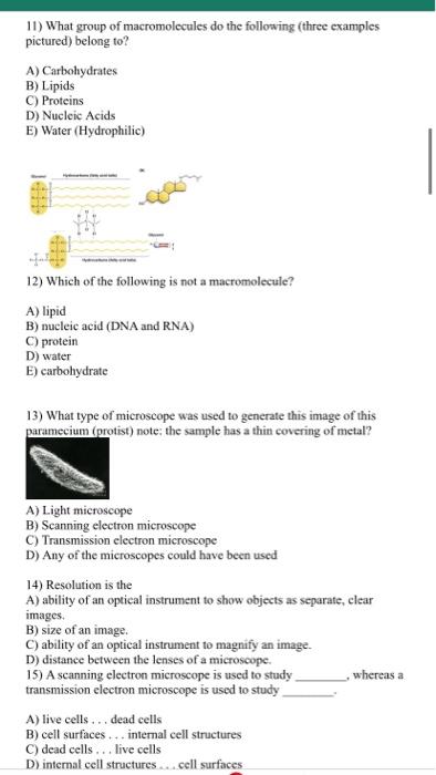 Solved 11) What group of macromolecules do the following | Chegg.com