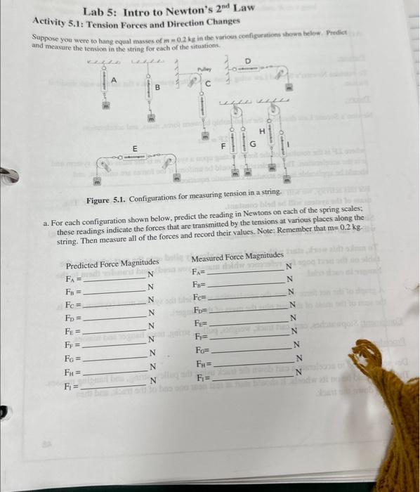 Suppose you were to hang equal masses of mn0.2 kg in | Chegg.com
