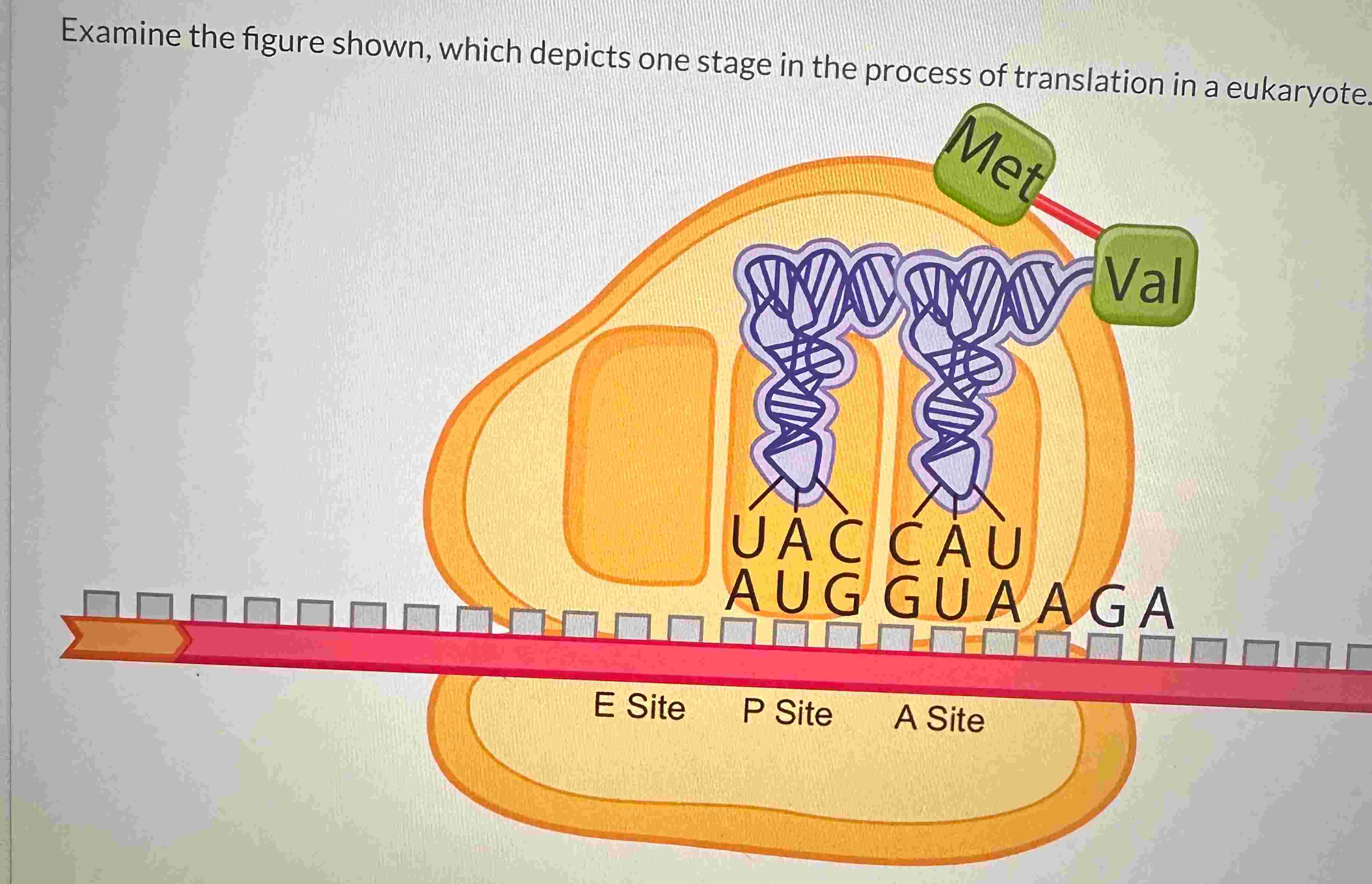 Solved Examine the figure shown, which depicts one stage in | Chegg.com