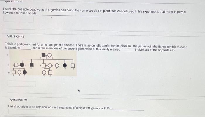 Solved QUESTION 17 List all the possible genotypes of a | Chegg.com