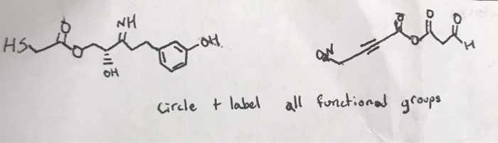 Solved NH Circle + label all functional groups | Chegg.com