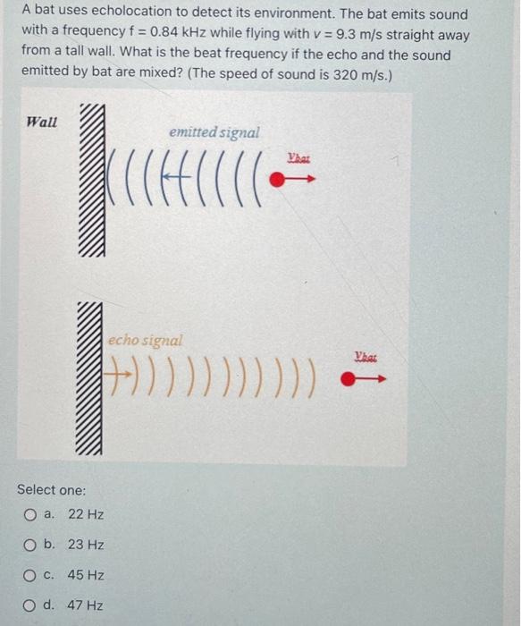 Solved A bat uses echolocation to detect its environment. | Chegg.com