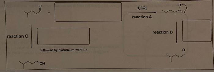 Solved reaction B followed by hydronlum work-up | Chegg.com