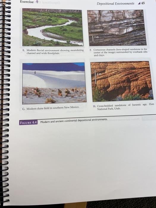 44 Exercise 4 Depositional Environments FIGURE 43 A | Chegg.com