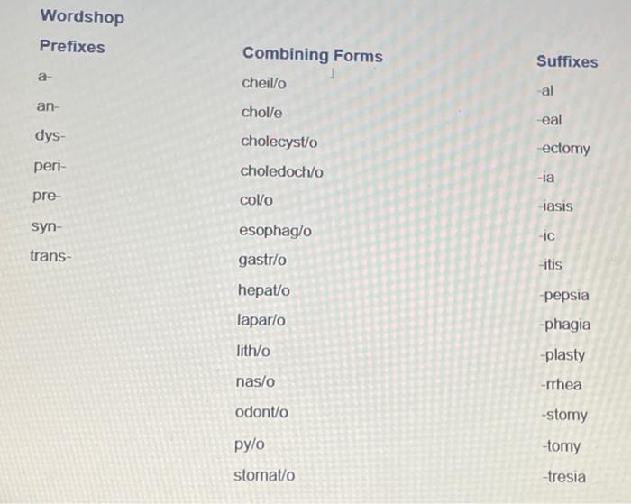 Wordshop Prefixes a- an- dys- peri- pre- syn- | Chegg.com
