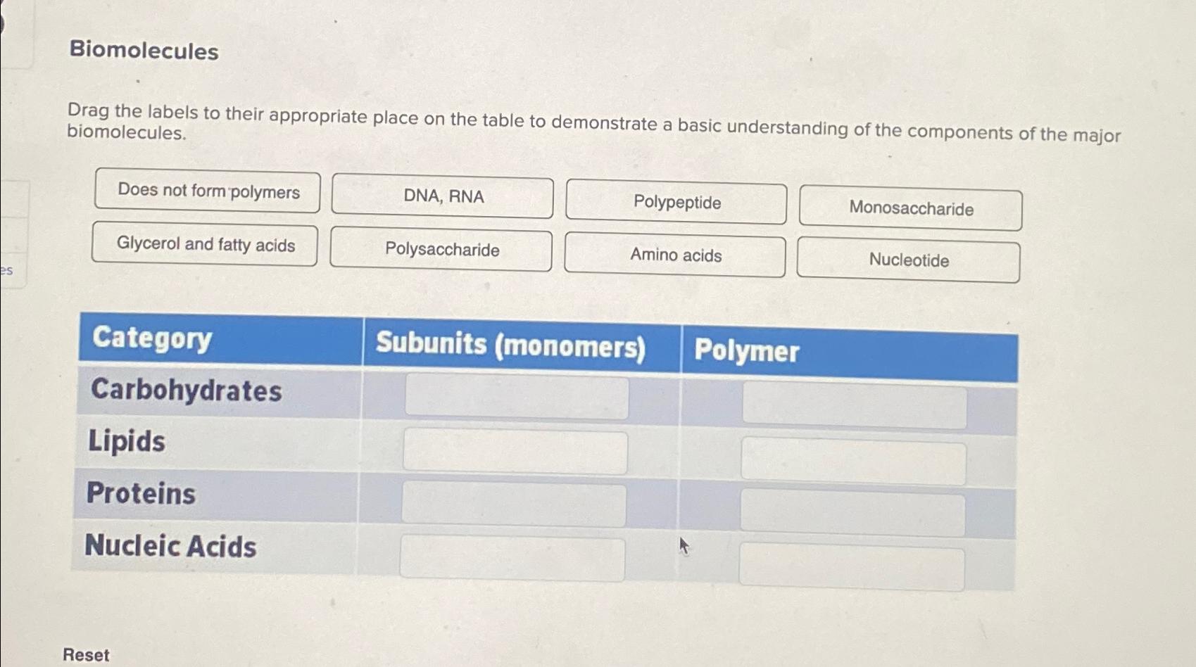 Solved BiomoleculesDrag the labels to their appropriate | Chegg.com
