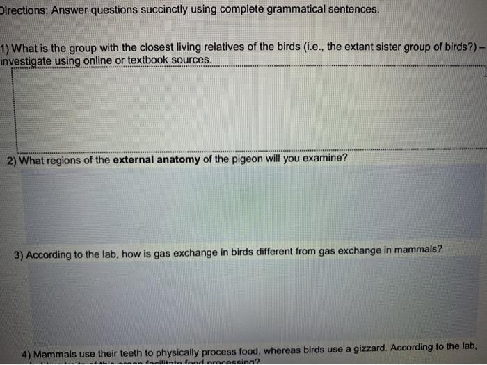 Solved Directions: Answer questions succinctly using | Chegg.com