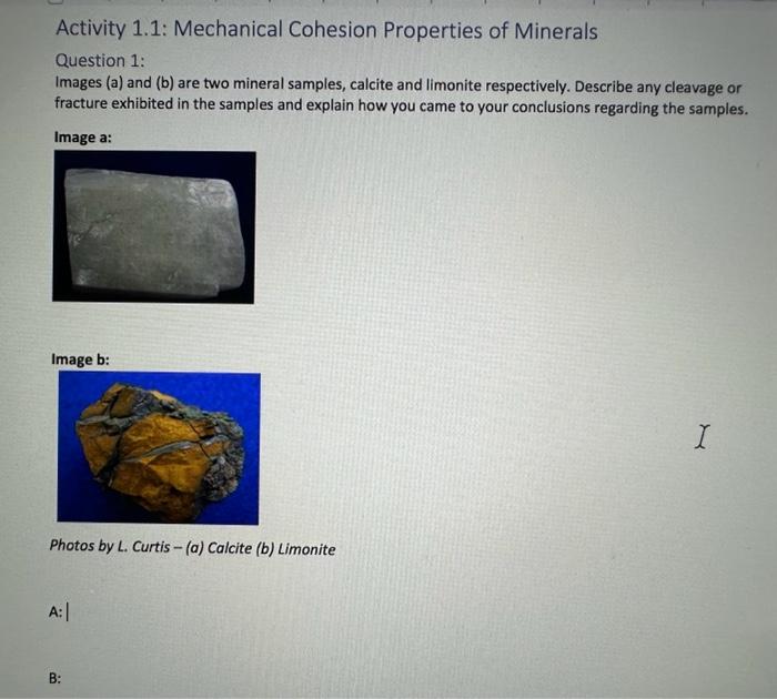 Solved Activity 1.1: Mechanical Cohesion Properties of | Chegg.com