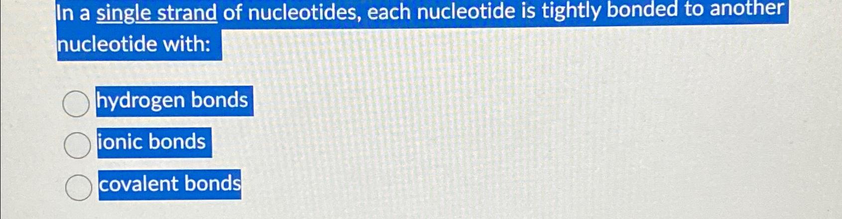 Solved In a single strand of nucleotides, each nucleotide is | Chegg.com