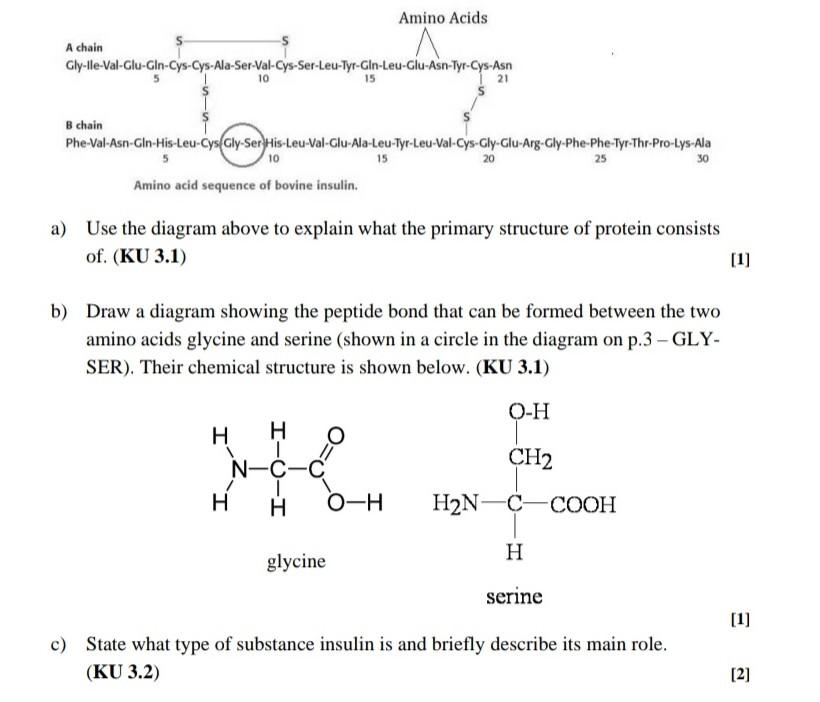 Solved a) Use the diagram above to explain what the primary | Chegg.com