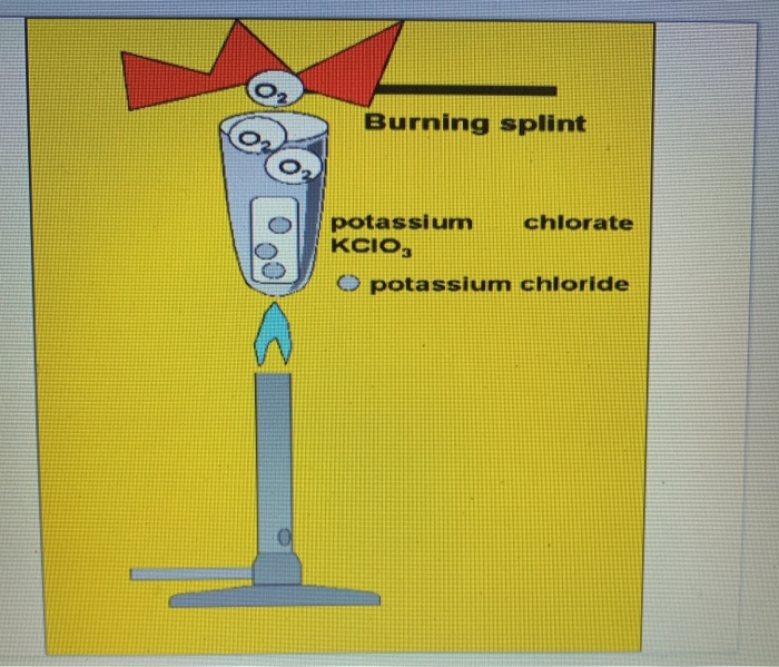 Solved Procedure 7 Don't drop the burning splint into the | Chegg.com