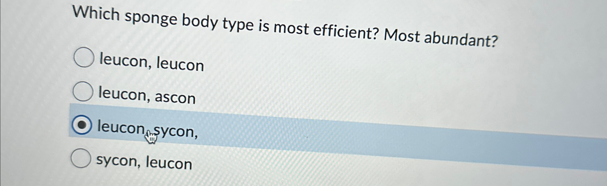 Solved Which sponge body type is most efficient? Most | Chegg.com