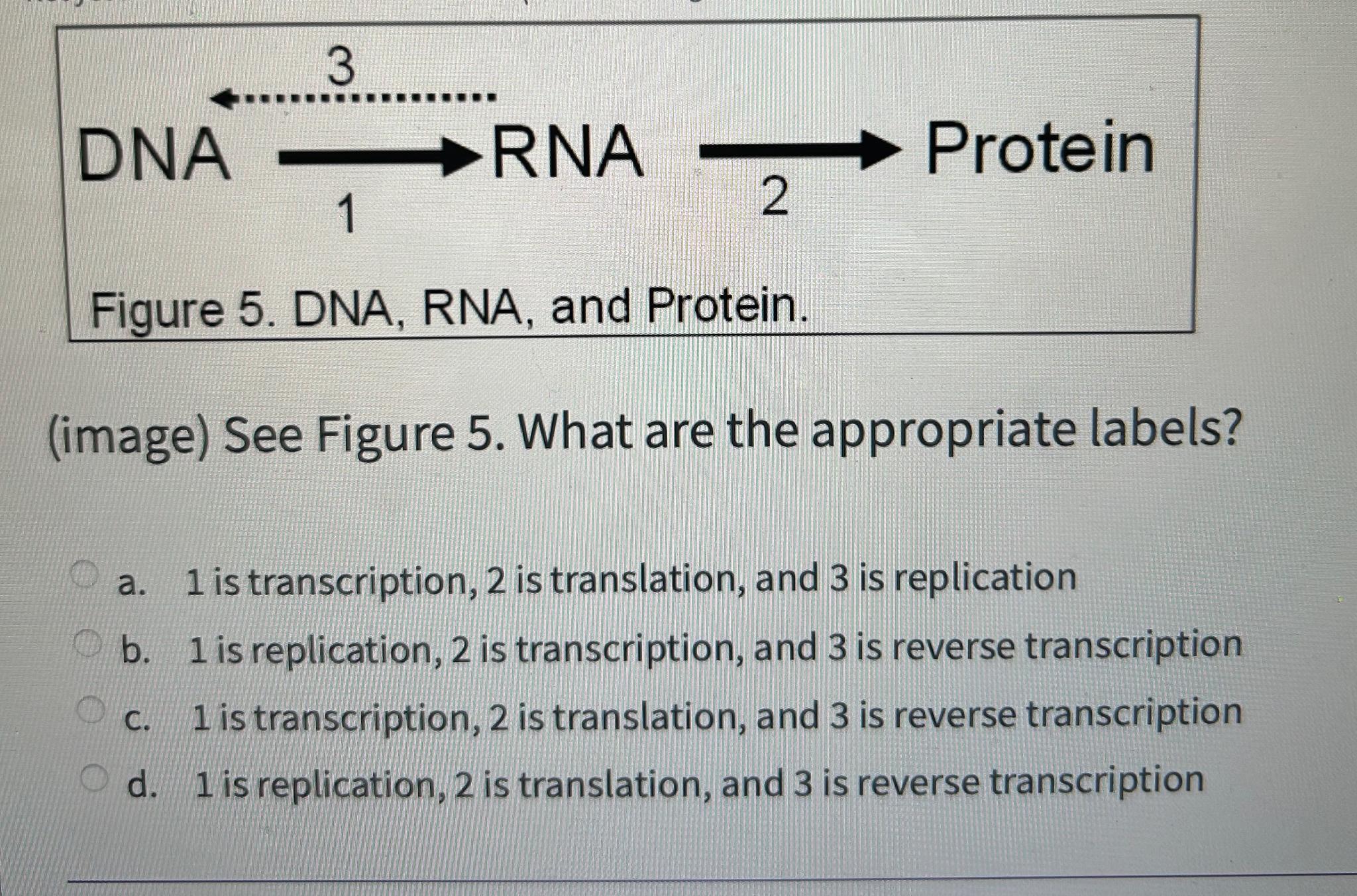 Solved Figure 5. ﻿DNA, RNA, and Protein.(image) ﻿See Figure | Chegg.com