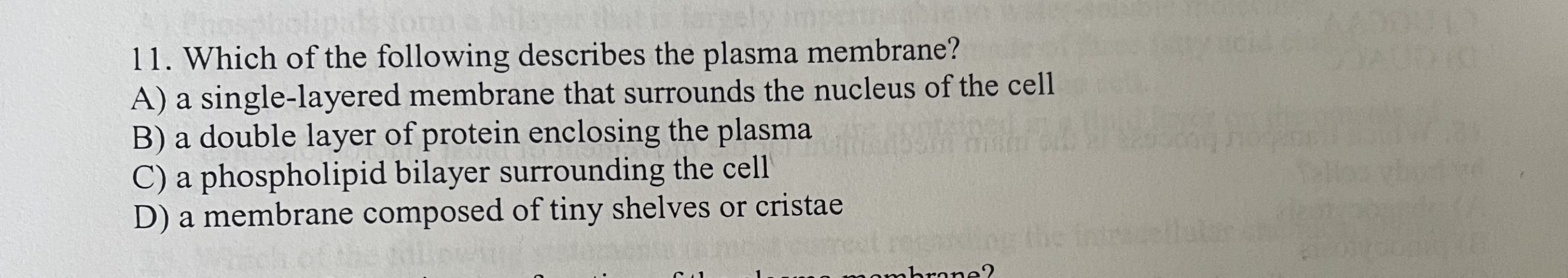 Solved Which of the following describes the plasma | Chegg.com