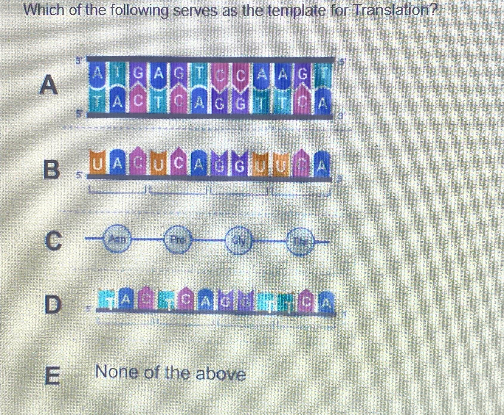 Solved Which of the following serves as the template for | Chegg.com
