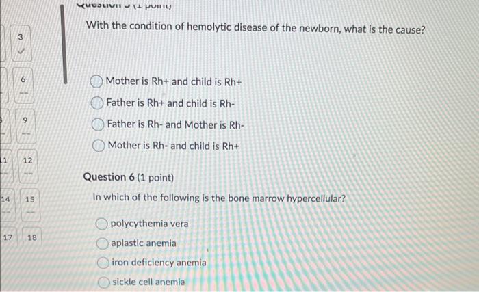 Solved Which of the following can be caused by a mutation in | Chegg.com