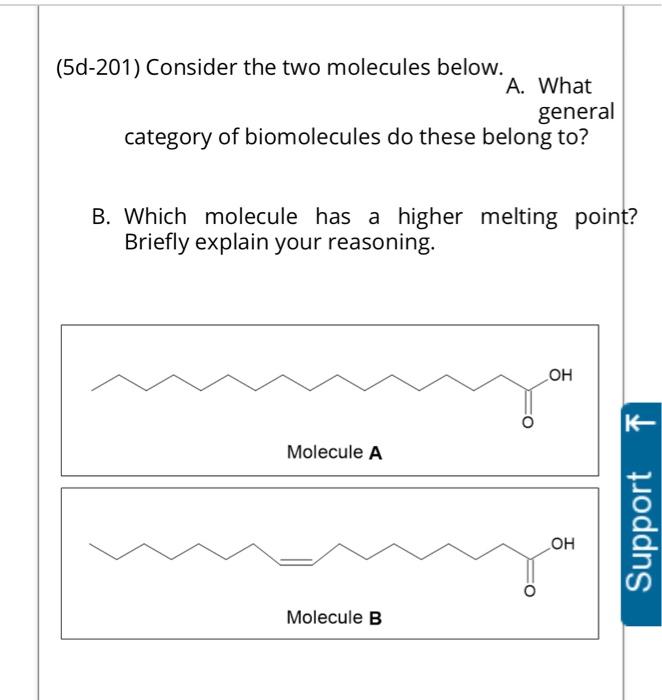 Solved (5d-201) Consider the two molecules below. A. What | Chegg.com
