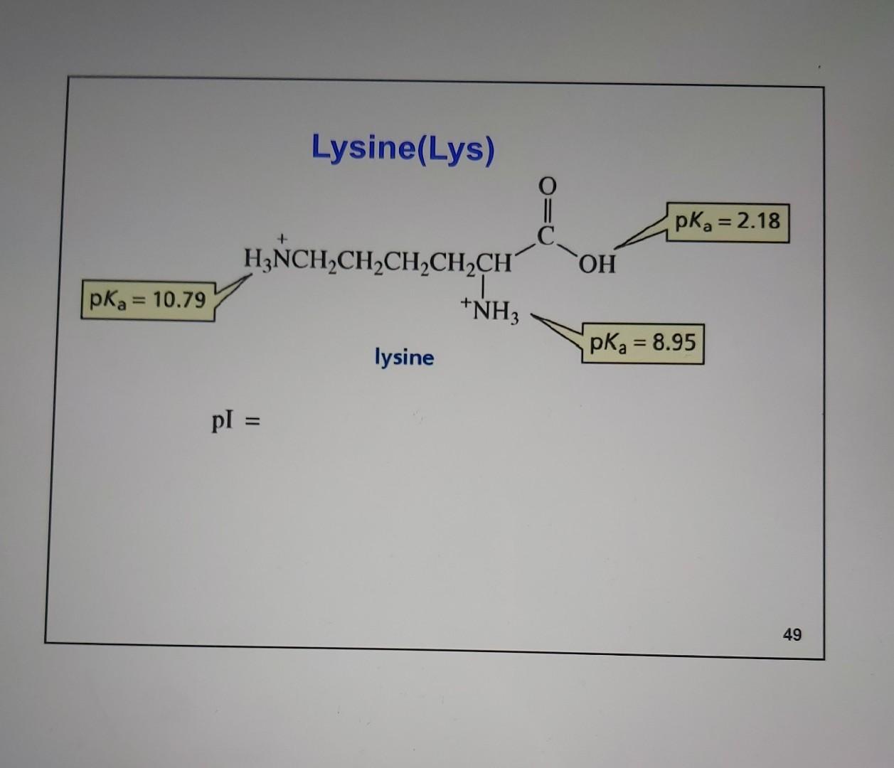 Solved pI= 49 | Chegg.com