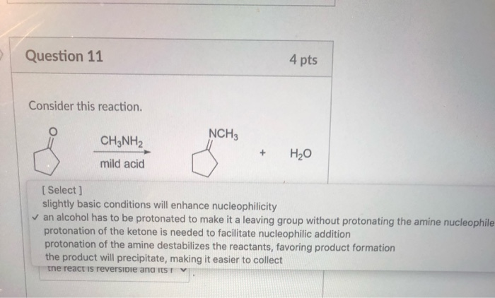 Solved Consider this reaction. O NCH3 CH3NH2 + H2O mild acid | Chegg.com