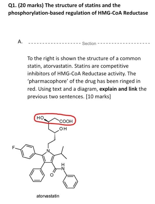Solved Q1. (20 marks) The structure of statins and the | Chegg.com
