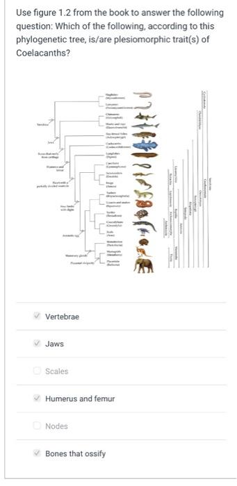 Solved Use figure 1.2 from the book to answer the following | Chegg.com