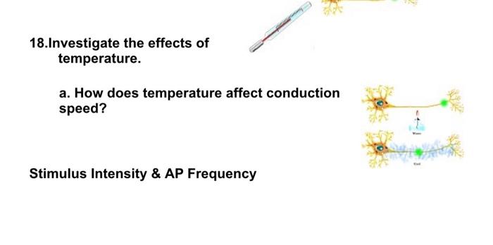 Solved 18.Investigate the effects of temperature. a. How | Chegg.com