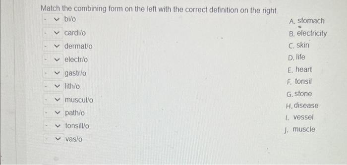 Solved Match the combining form on the left with the correct | Chegg.com