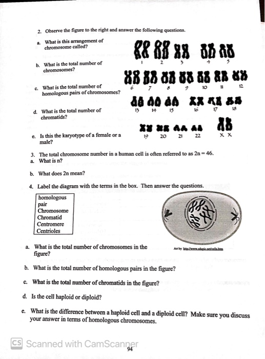 Solved 2. Observe the figure to the right and answer the | Chegg.com