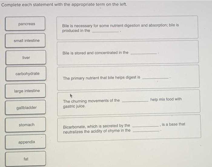 Solved Complete each statement with the appropriate term on | Chegg.com