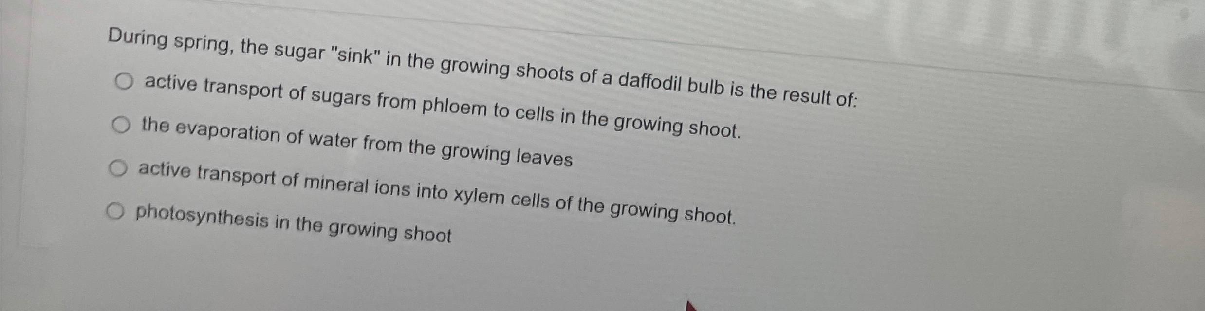 Solved During spring, the sugar "sink" in the growing shoots | Chegg.com