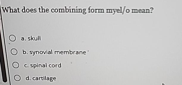 Solved What does the combining form myel/o mean?a. ﻿skullb. | Chegg.com