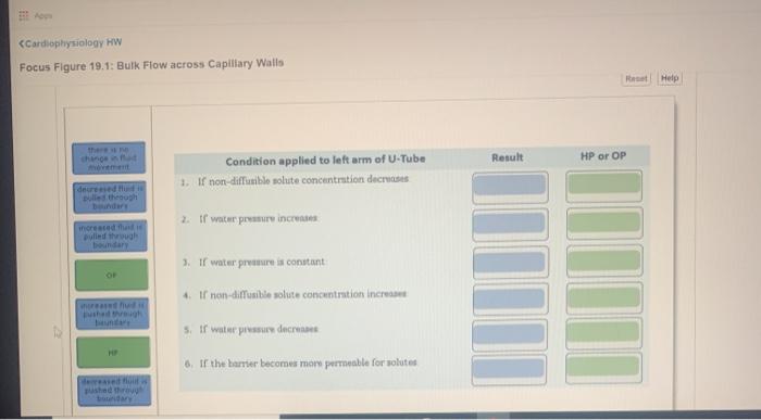Cardiophysiology HW Focus Figure 19.1: Bulk Flow | Chegg.com