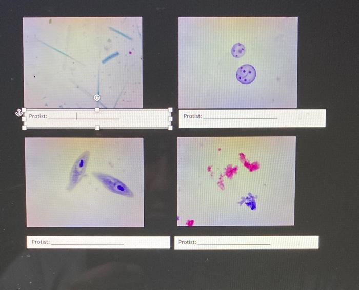 Solved 1) Fill out the following table regarding Information | Chegg.com
