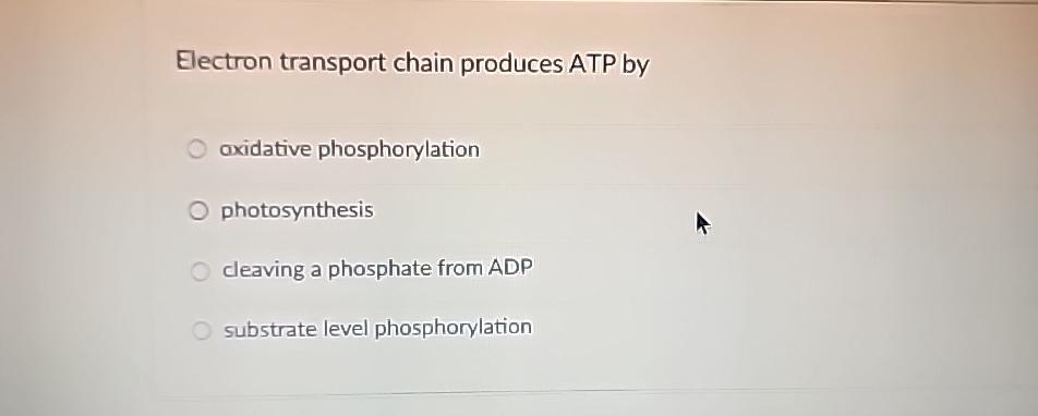 Solved Electron transport chain produces ATP byoxidative | Chegg.com