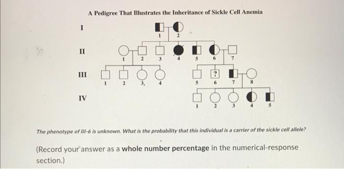 Solved A Pedigree That Illustrates the Inheritance of Sickle | Chegg.com
