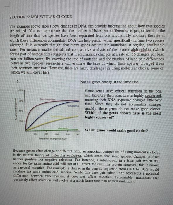 Solved SECTION 5: MOLECULAR CLOCKS The example above shows | Chegg.com