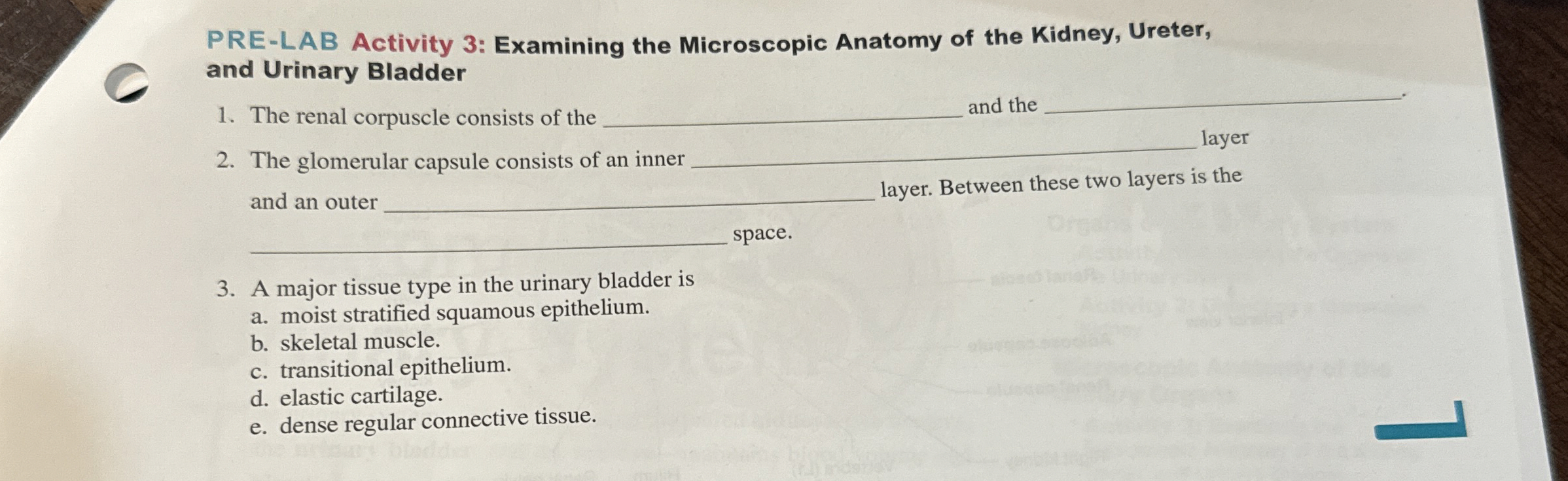 Solved PRE-LAB Activity 3: Examining the Microscopic Anatomy | Chegg.com Solved PRE-LAB Activity 3: Examining the Microscopic Anatomy | Chegg.com