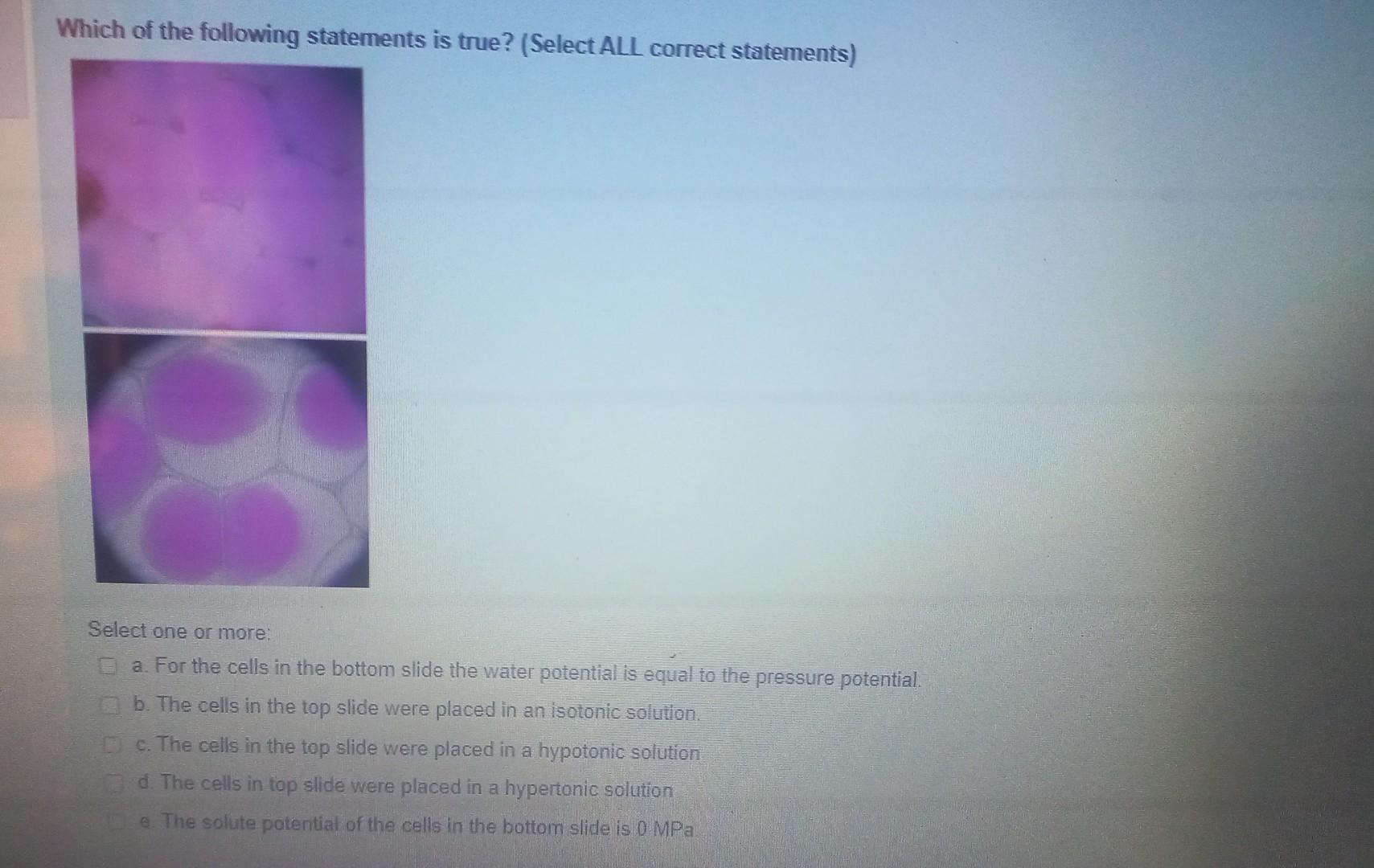 Solved Which of the following statements is true? (Select | Chegg.com